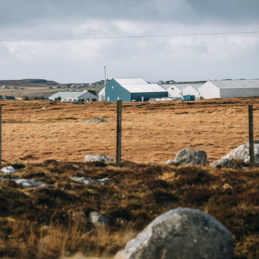 Our Patterns - Bold & Traditional Harris Tweed Fabric – Harris Tweed ...